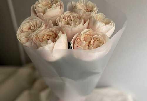 Пионовидные розы сливочного цвета