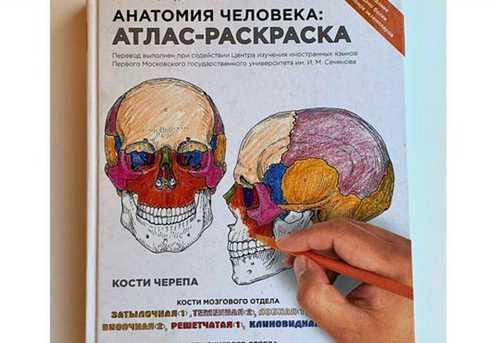 Анатомия человека: атлас-раскраска» Кэпит, Элсон