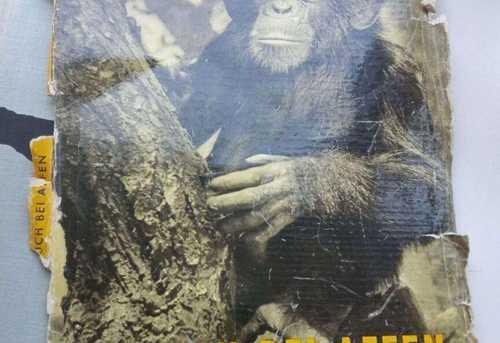 Книга о животных-обезьяны на чехословацком 1957 го