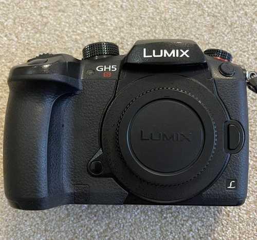 Panasonic GH5S Body 5,8к русский язык