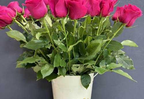 Розовая роза 70 см