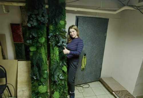 Стены панно декор стен мхом растениями, арт17, от
