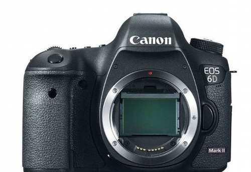 Canon EOS 6D II body