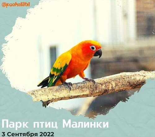 03.04.2022 Парк птиц Малинки из Ростова