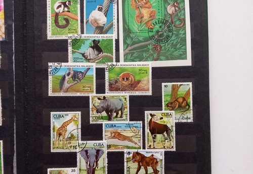 Почтовые марки фауна животные