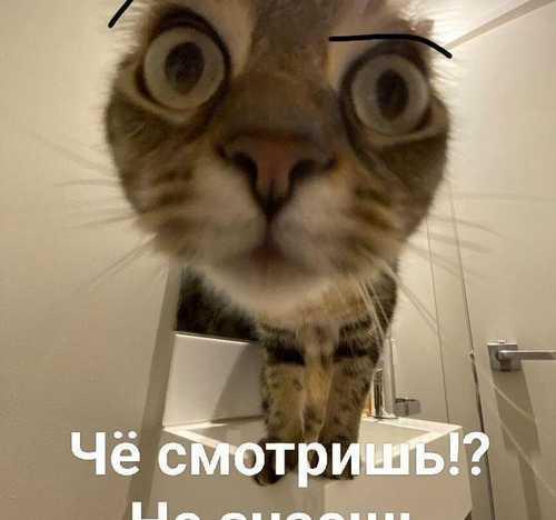 Золотое кольцо с сапфиром и бриллиантами