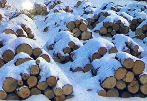 Продам дрова чурбаками колотые цена договарная