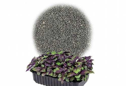 Семена Микрозелень от 50 грамм арт.0065
