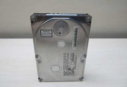 HDD Quantum atlas V 9 WLS (9,1GB) scsi 68pin №30