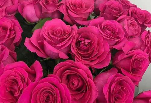 Цветы букет из 25 роз пинк флойд