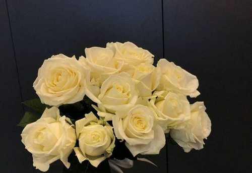 Букет из 11 высоких белых роз