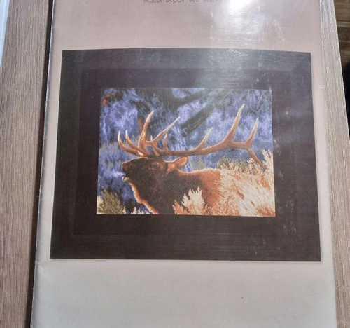 Lanarte. Red deer