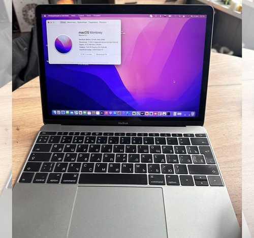 MacBook (Retina, 12-inch, Early 2016)