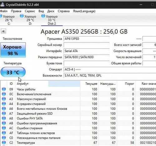 Apacer AS350 Panther 256 gb