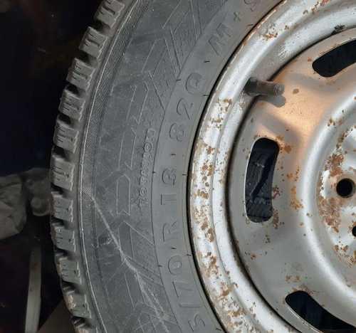 Amtel NordMaster ST 175/70 R13