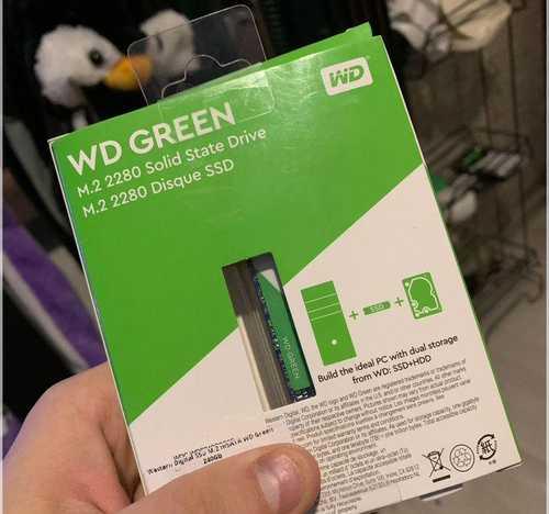 Ssd m2 wd green 240 gb