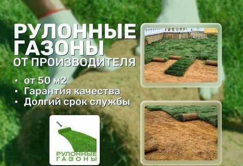 Рулонный газон. Универсален для любой задачи