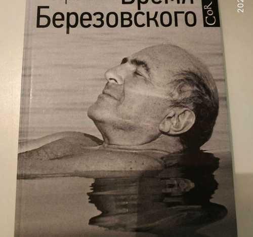 Время Березовского - Пётр Ален 2018 г