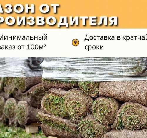 Укладка и продажа газона элитный