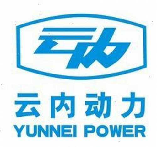 Вкладыши шатунные Yunnei YN48GBZ