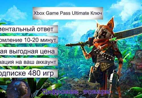 Game Pass Ultimate 9 месяцев Ключ