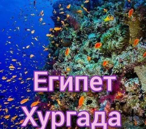 Египет. Хургада