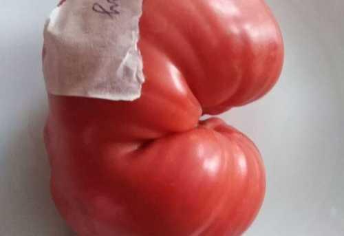 Семена томатов набор
