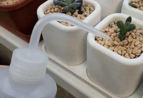 Бутылка-лейка для полива растений 500 мл