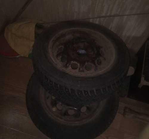 Cordiant Polar 2 175/65 R14