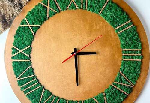 Часы из мха 'Зеленая хроника'