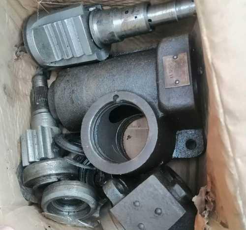 Гур газель соболь