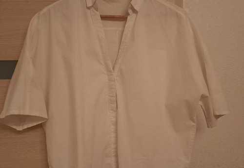 Блузки, рубашки 52-56