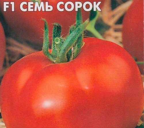 Рассада томатов / помидоров «Семь сорок, F1»