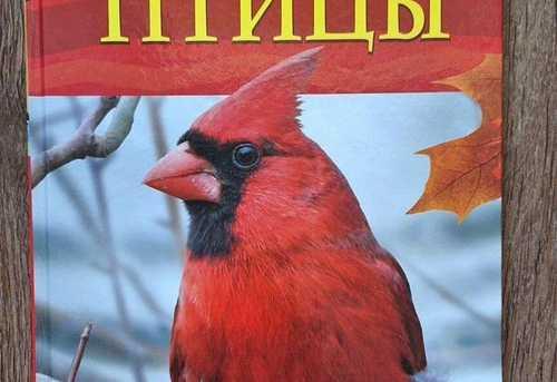 Детская энциклопедия про птиц