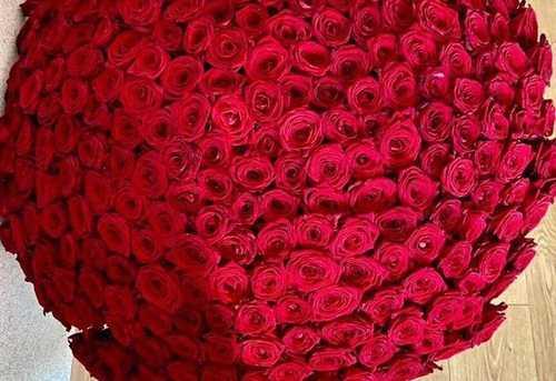 Розы красные букет,букеты цветы с доставкой