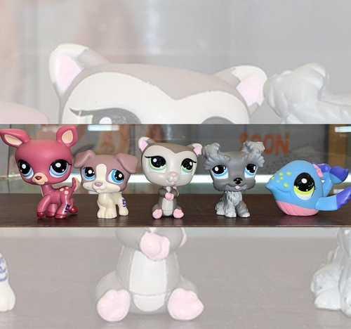 Littlest Pet Shop