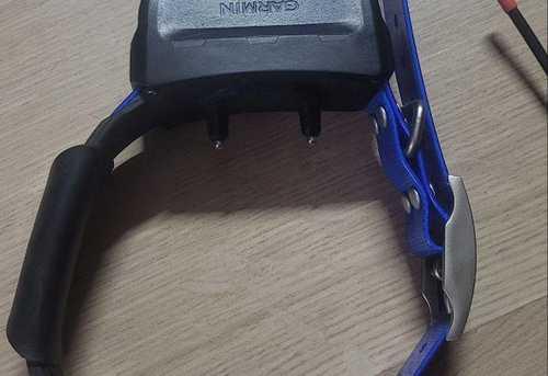 Ошейник garmin TT15