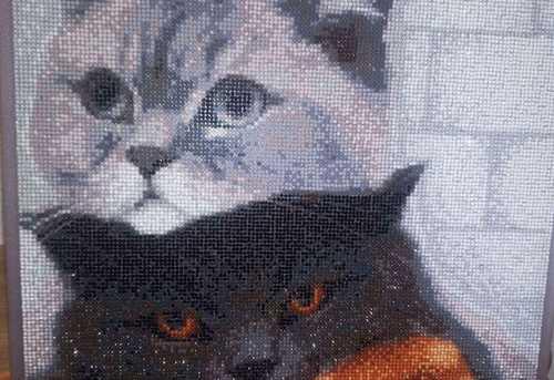 Картина Алмазная мозайка " Кот"