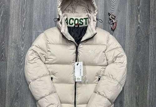 Мужская зимняя куртка lacoste
