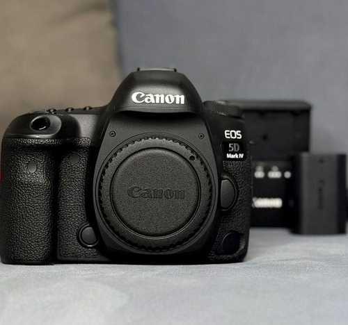 Canon EOS 5D Mark IV Body / 16.829 кадров