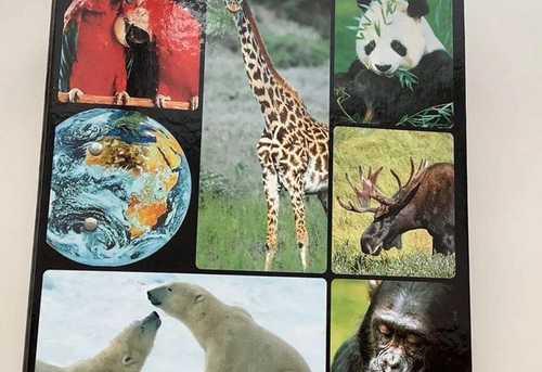 Энциклопедия В мире дикой природы