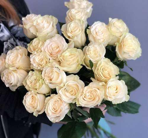 Роза белая эквадор цветы оптом