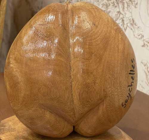 Coco de mer с Сейшельских островов