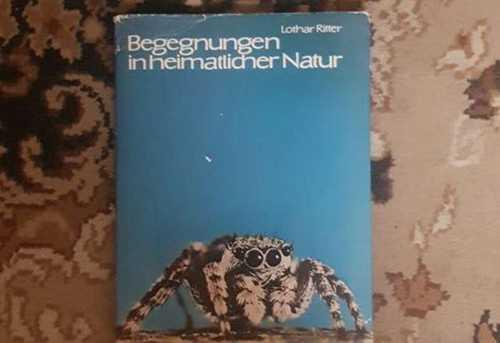Begegnungen in heimatlicher Natur книга на немец