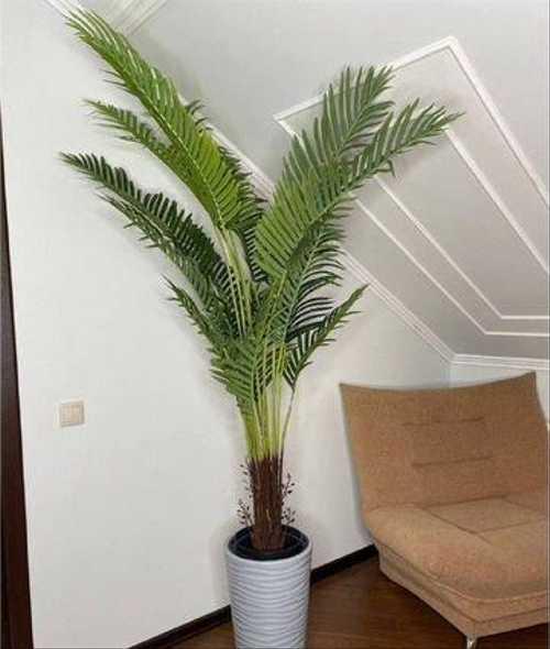 Декоративная высокая пальма в кашпо