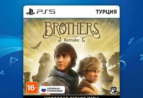 Brothers: a Tale of two Sons Remake PS5
