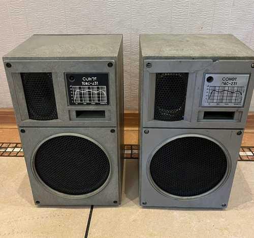 Колонки Сонет 10 ас 231