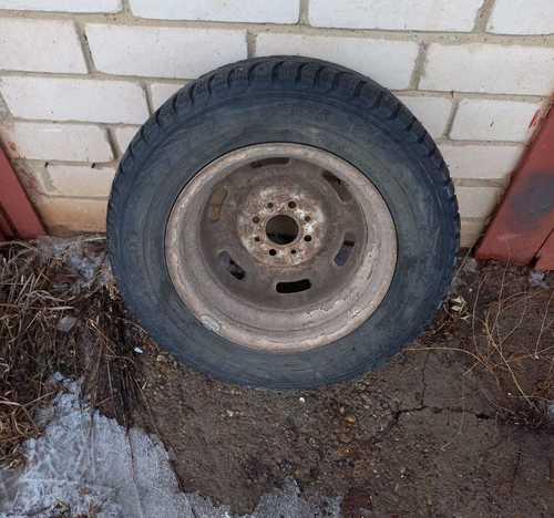Nordman 5 175/70 R13