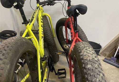Fat bike