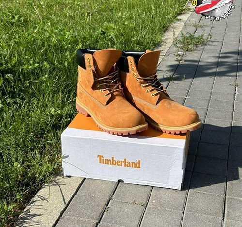 Ботинки Timberland 6 inch Premium